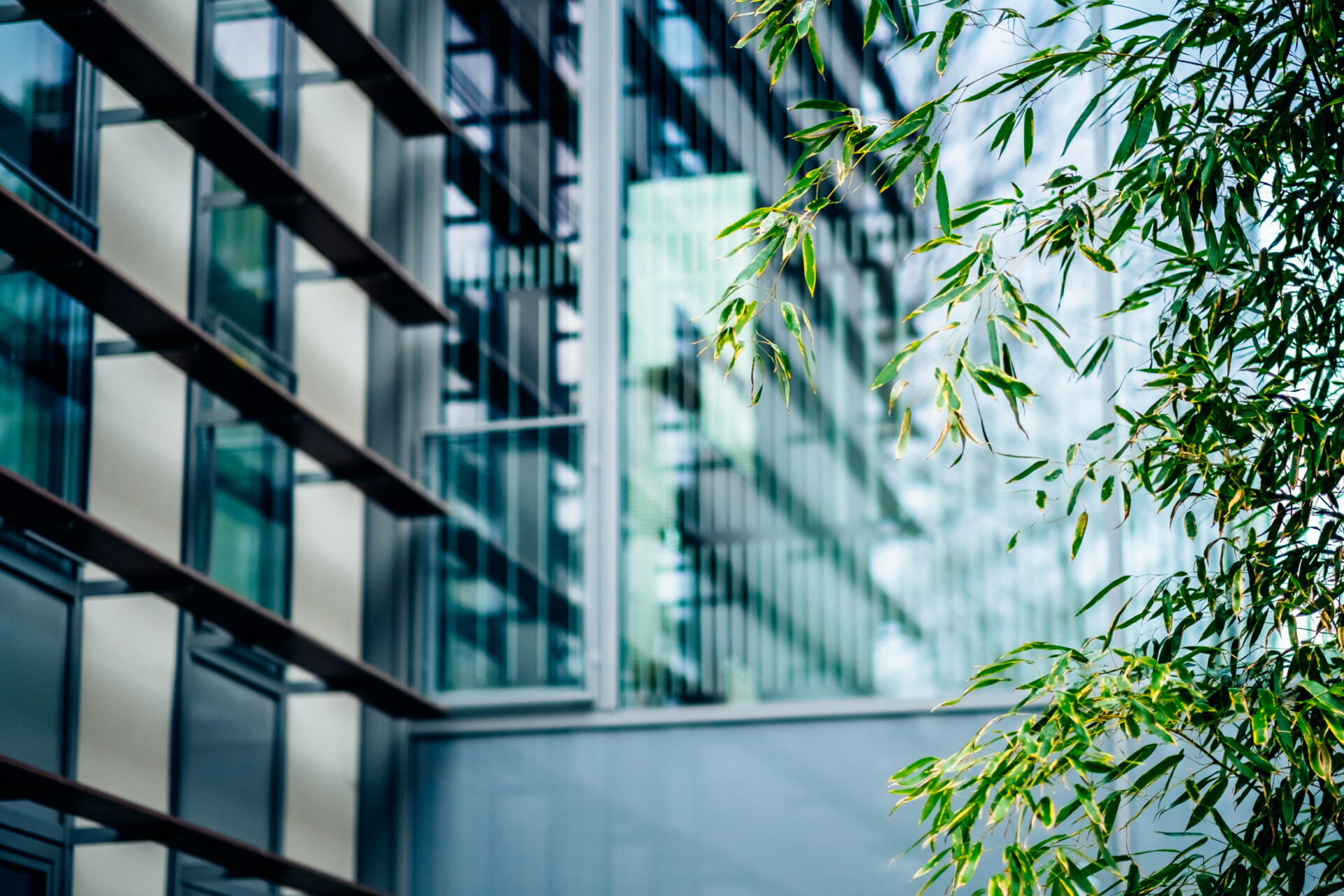 BNP Paribas in the world - BNP Paribas Canada